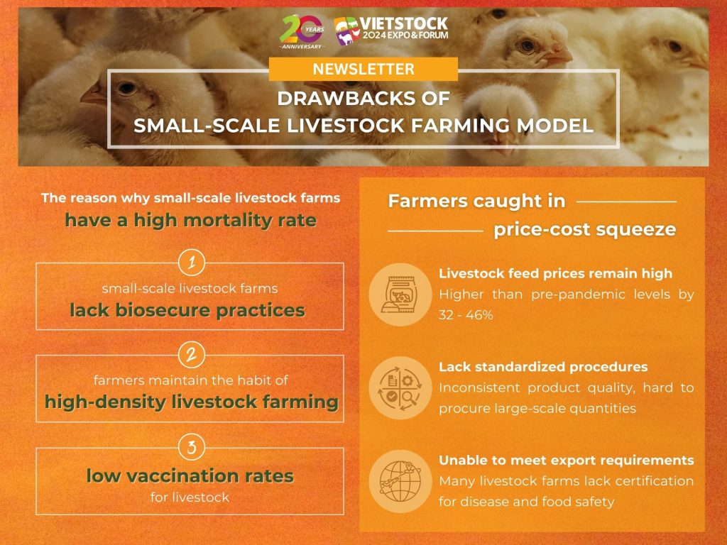 SUSTAINABLE LIVESTOCK: TRANSFORMING INTO LARGE-SCALE PRODUCTION ...