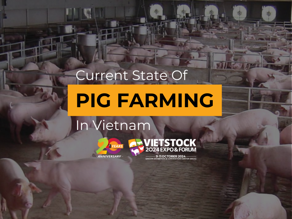 CURRENT STATE OF PIG FARMING IN VIETNAM - Vietstock Expo and Forum
